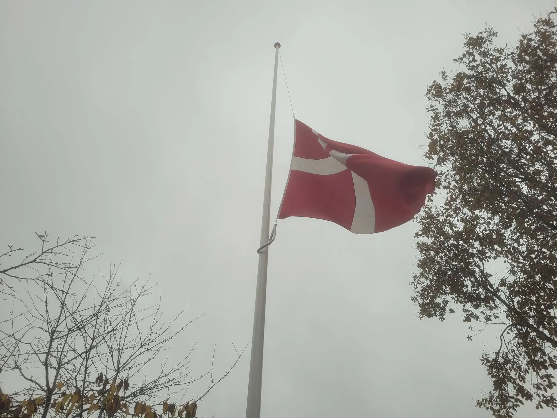 Billede-reportage: Markering af våbenstilstanden | 6510 NYT