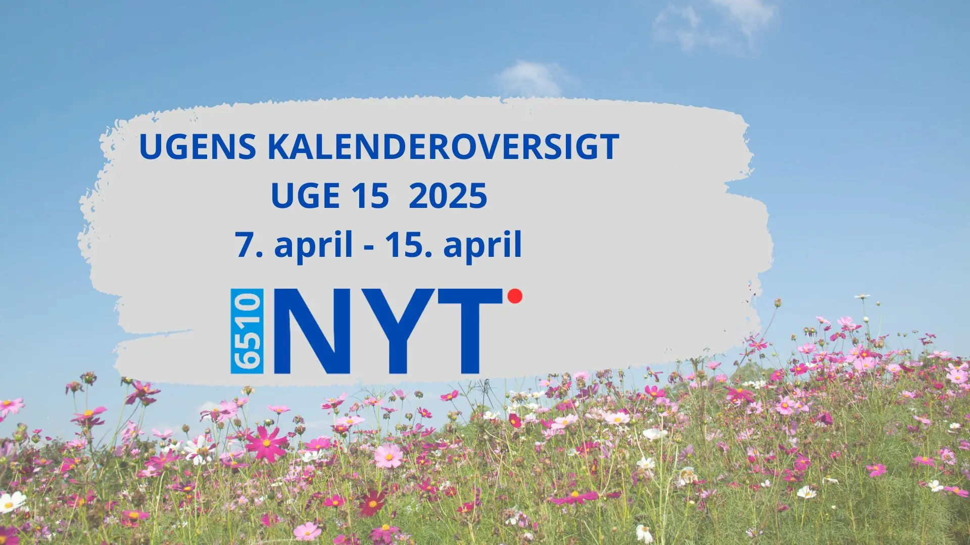 Ugens arrangementer | 6510 NYT