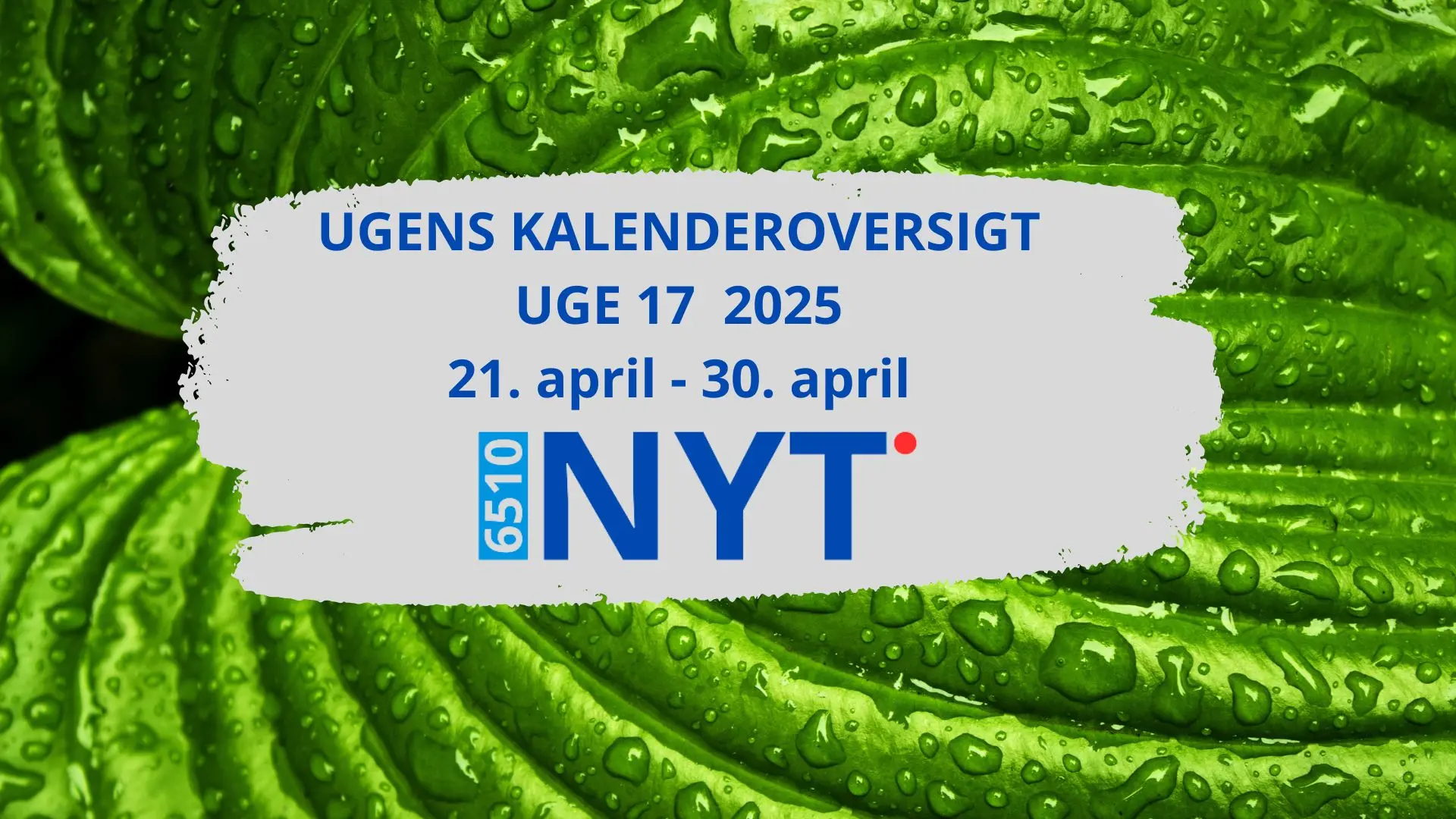 Ugens arrangementer (Uge 17) | 6510 NYT