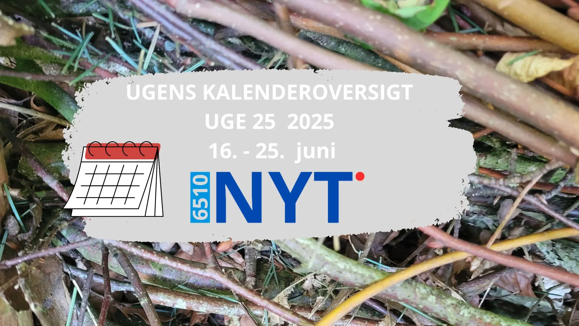 Ugens arrangementer (uge 25) | 6510 NYT